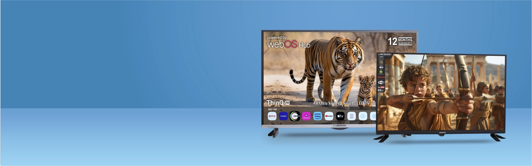 Premium Wall Mount Display for Modern Spaces | Limeberry
